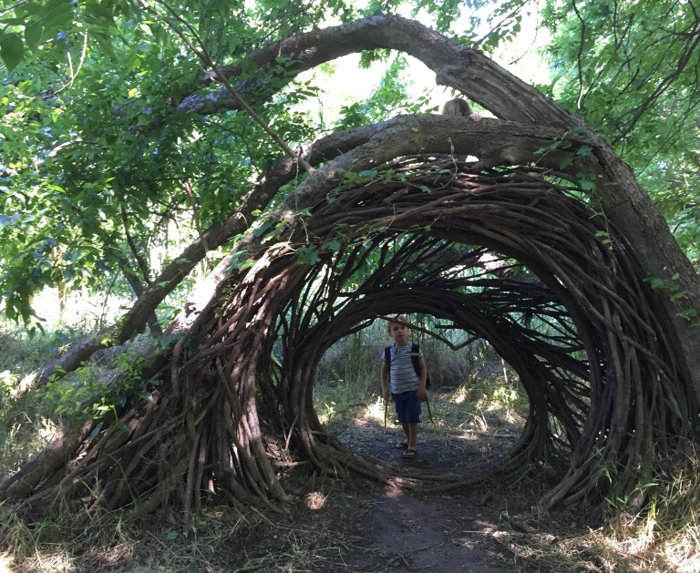 A Guide to Austin Area Parks, Trails and Watering Holes – kindness over ...